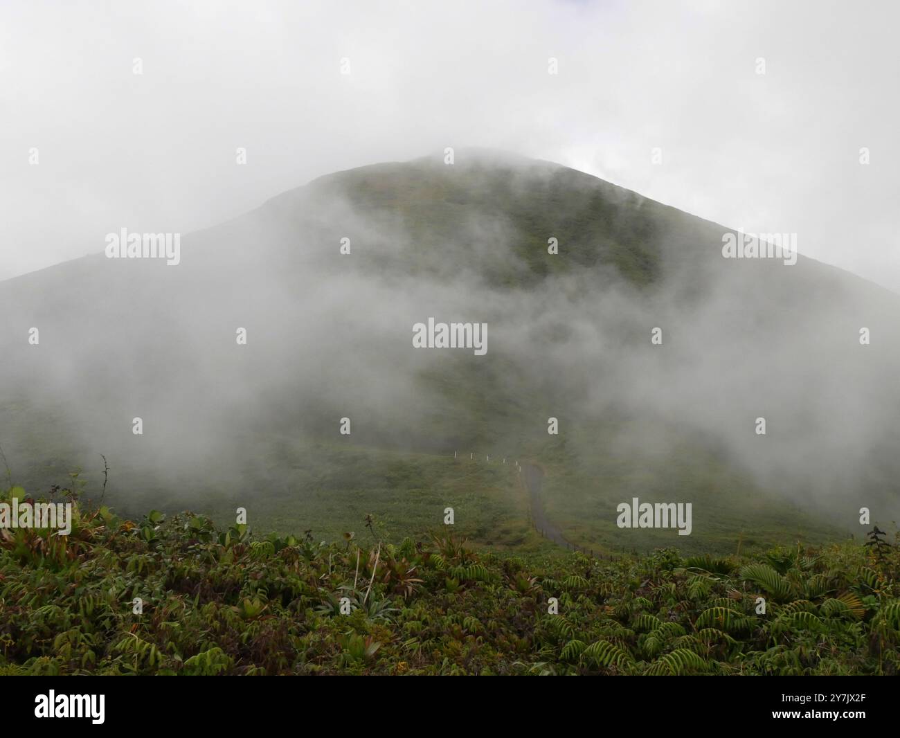echelle summit in the clouds, volcano peak near soufriere, guadeloupe ...