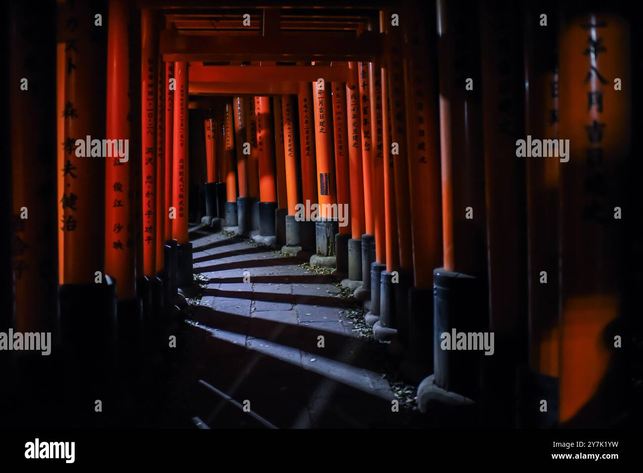 Exploring Fushimi Inari Taisha temple at night, Kyoto, Japan Stock ...