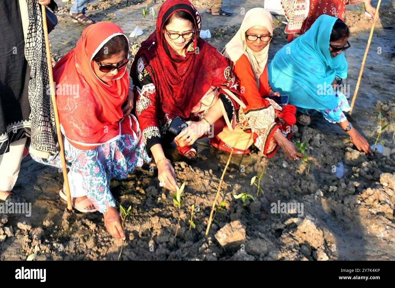 Members of Muttahida Qaumi Movement (MQM-P) are planting a tree during ...