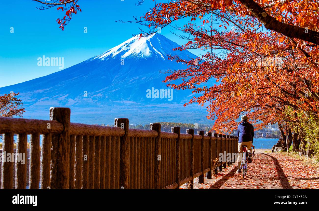 Mt. Fuji over Lake Kawaguchiko with autumn foliage at daytime in Fujikawaguchiko, Japan Stock ...