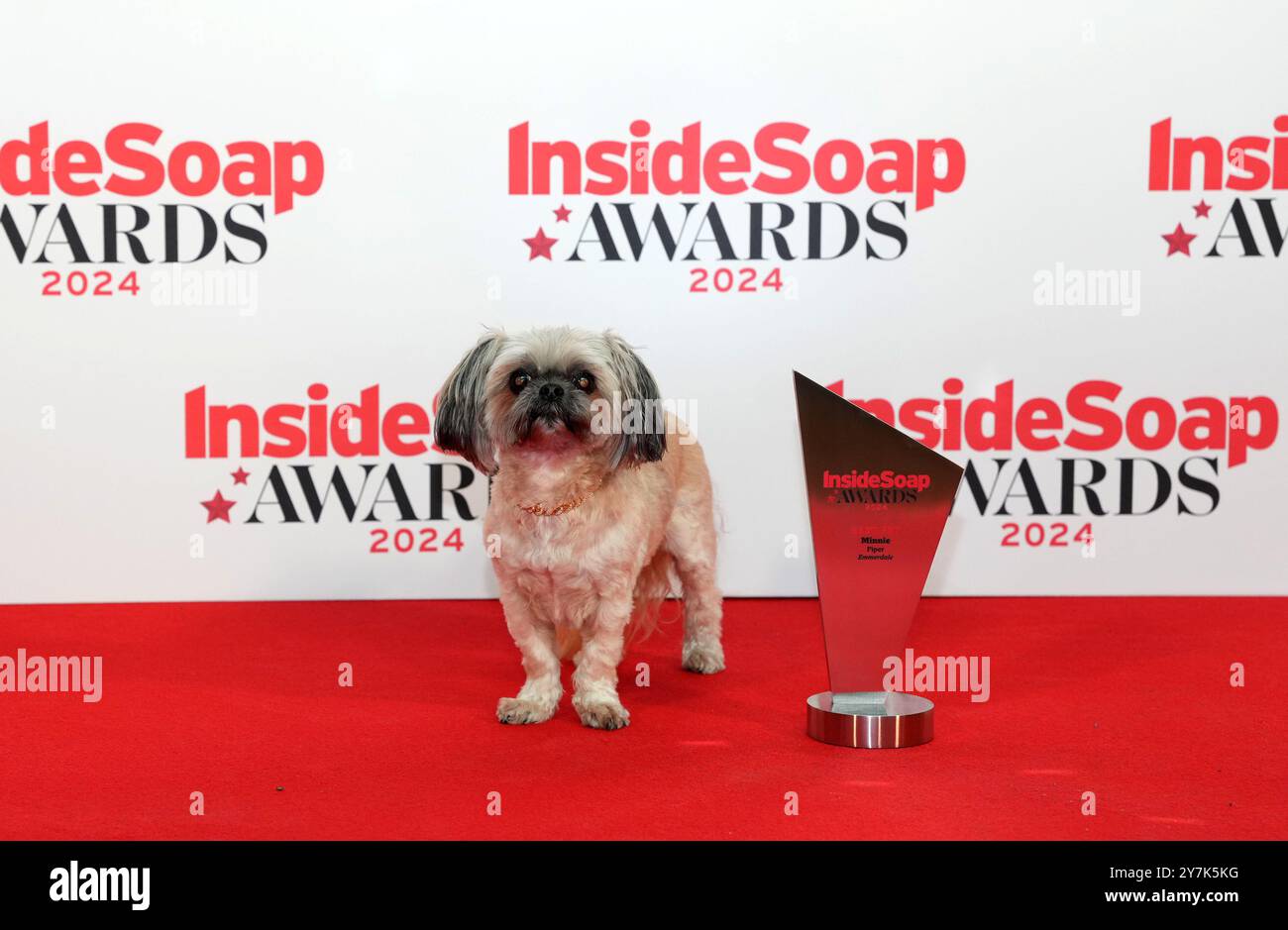 Minnie the dog with the Best Pet Award at the Inside Soap Awards, at ...
