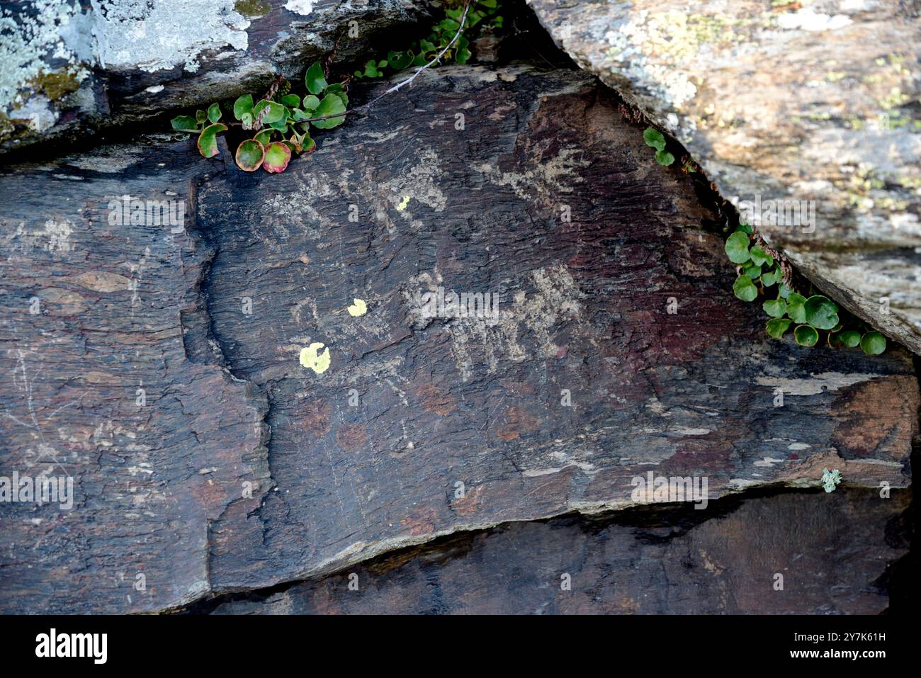 Upper Paleolithic rock engravings of San Isidro hill in Domingo García ...