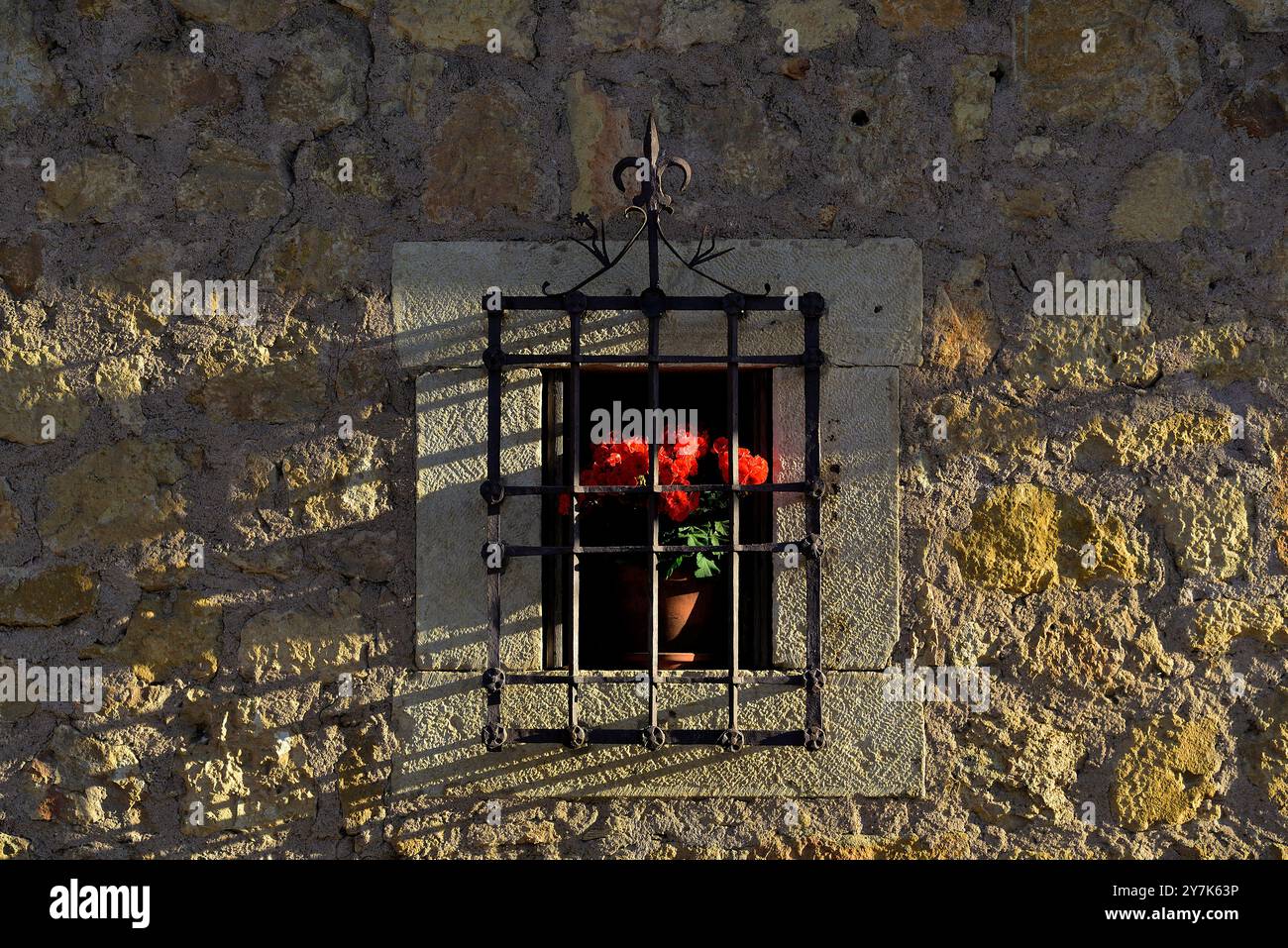 Window with grill and red flowers in the medieval town of Pedraza Stock ...