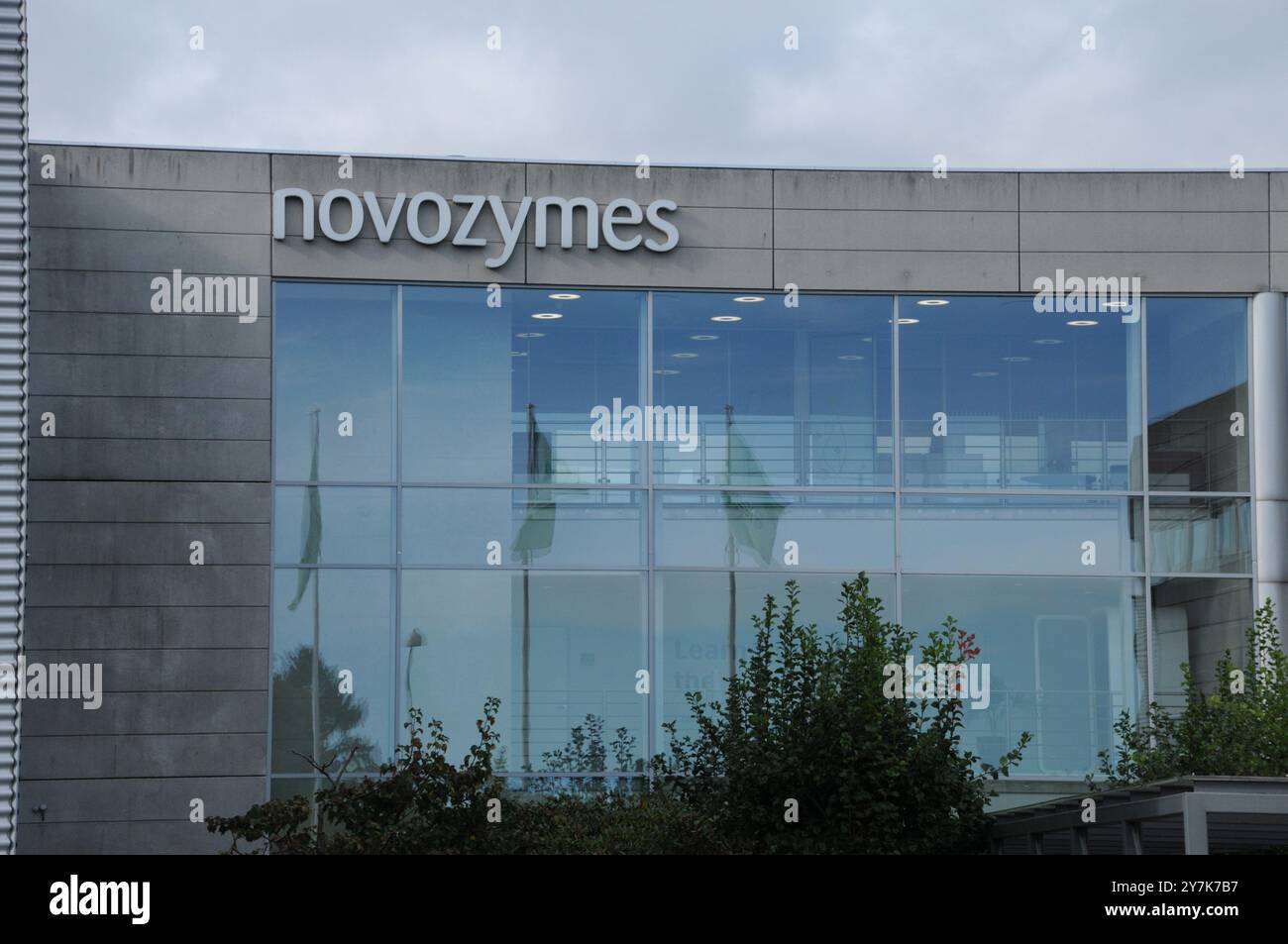 Copenhagen/ DenmarK/29 september 2024/Novozymes medicne firm in ...