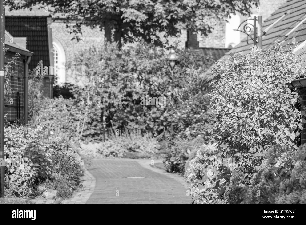 small village in east frisia Stock Photo - Alamy