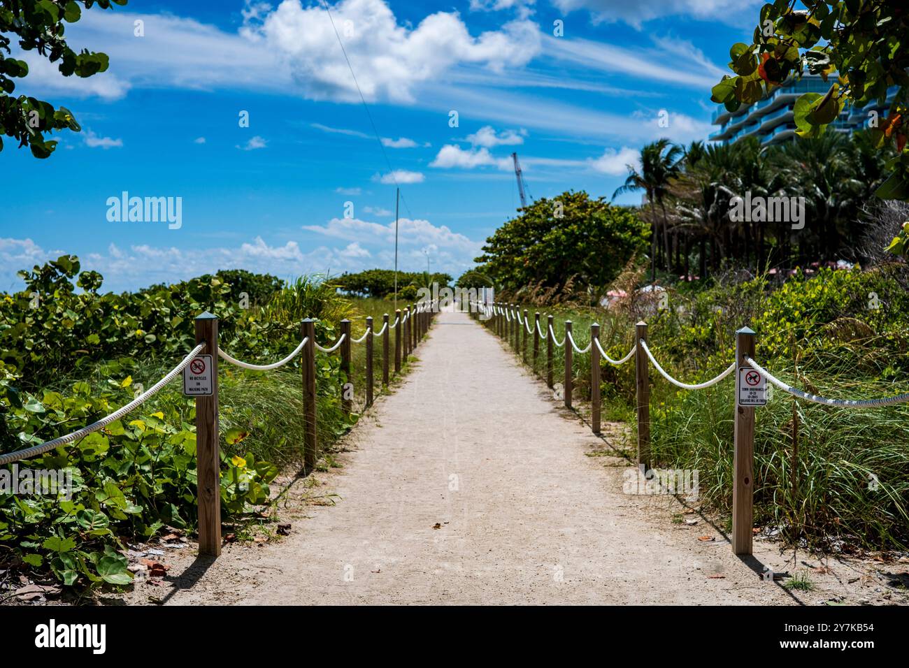 A scenic pathway leading to a beach, lined with greenery and a bright ...