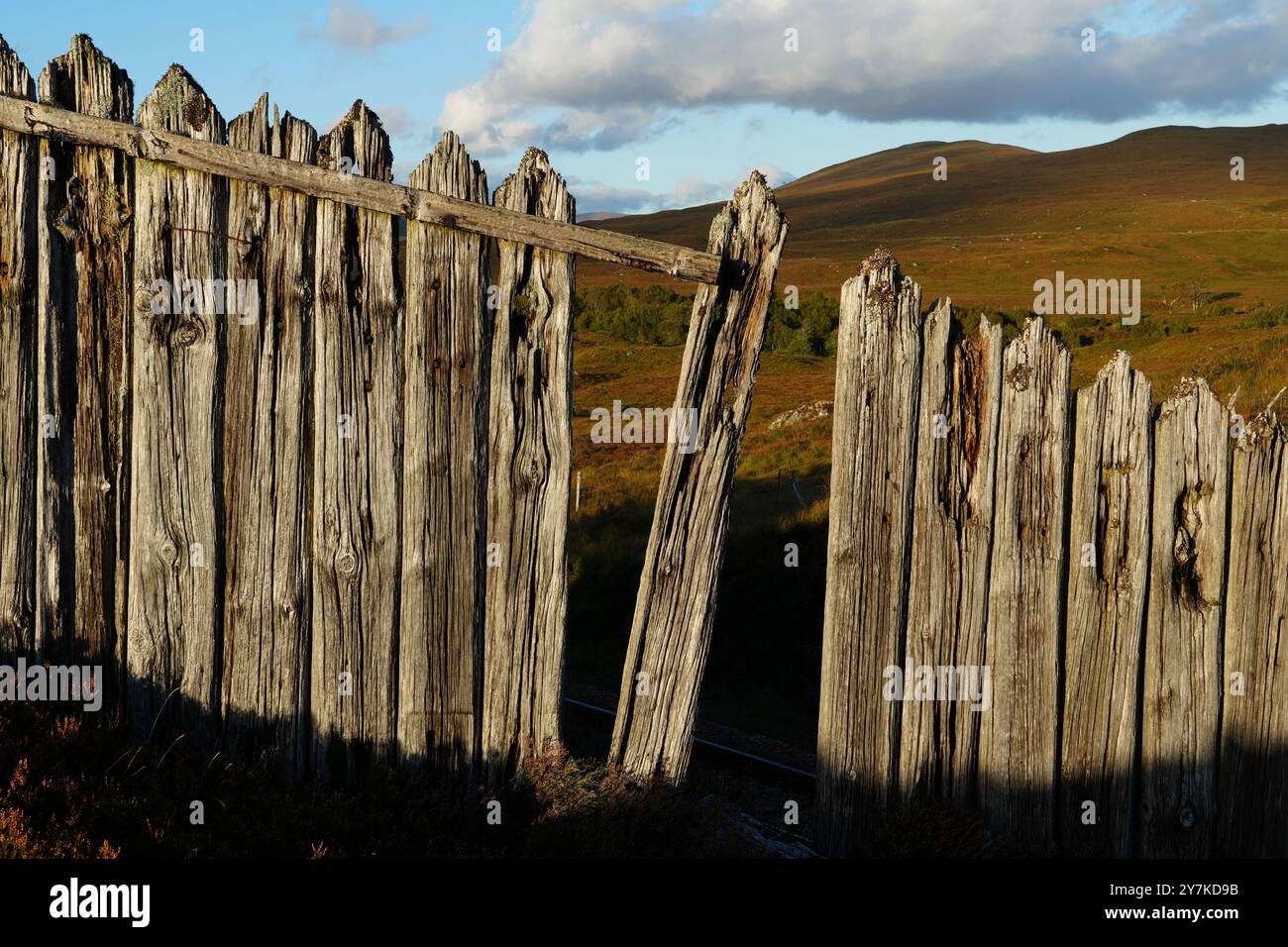 Weathered wooden fencing, Scottish Highlands, Scotland, UK Stock Photo ...
