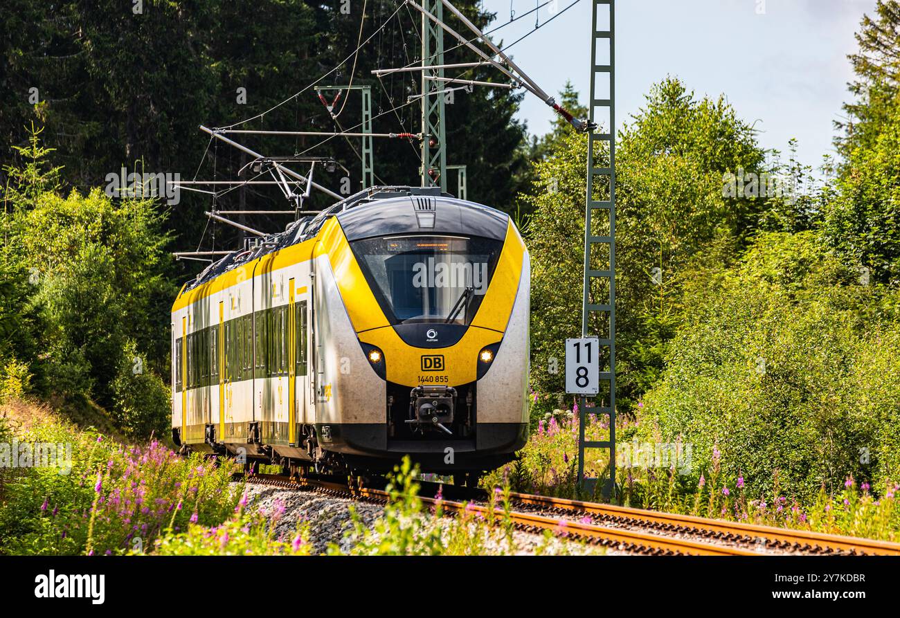 Schluchsee, Germany, 28th Jul 2024: An Alstom Cordia Continental (BR ...
