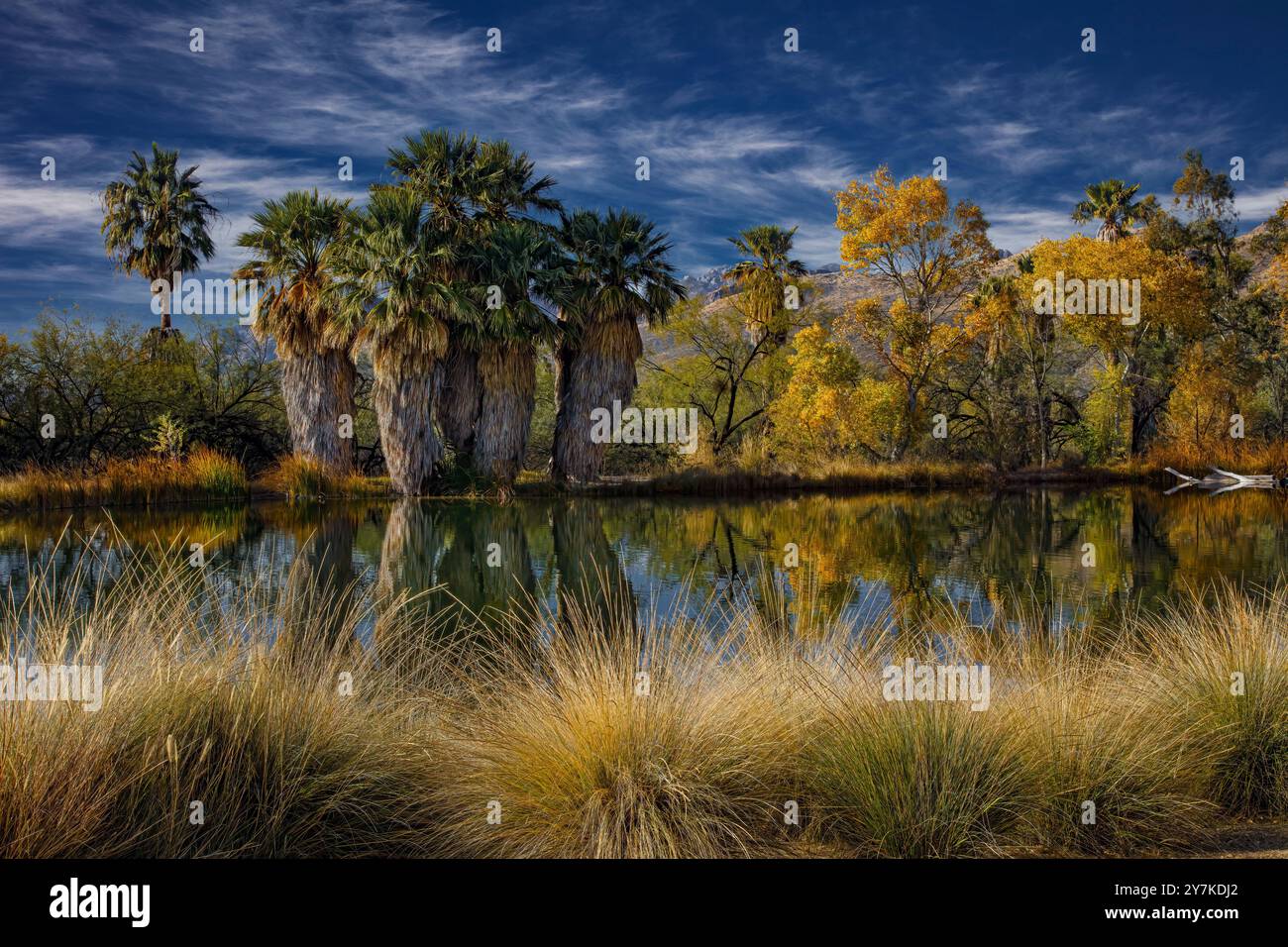 Regional park hi-res stock photography and images - Alamy
