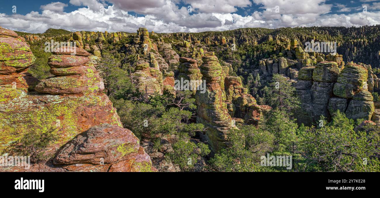 Land of the Standing-Up Rocks, Volcanic rhyolite Deposition, Chiricahua ...