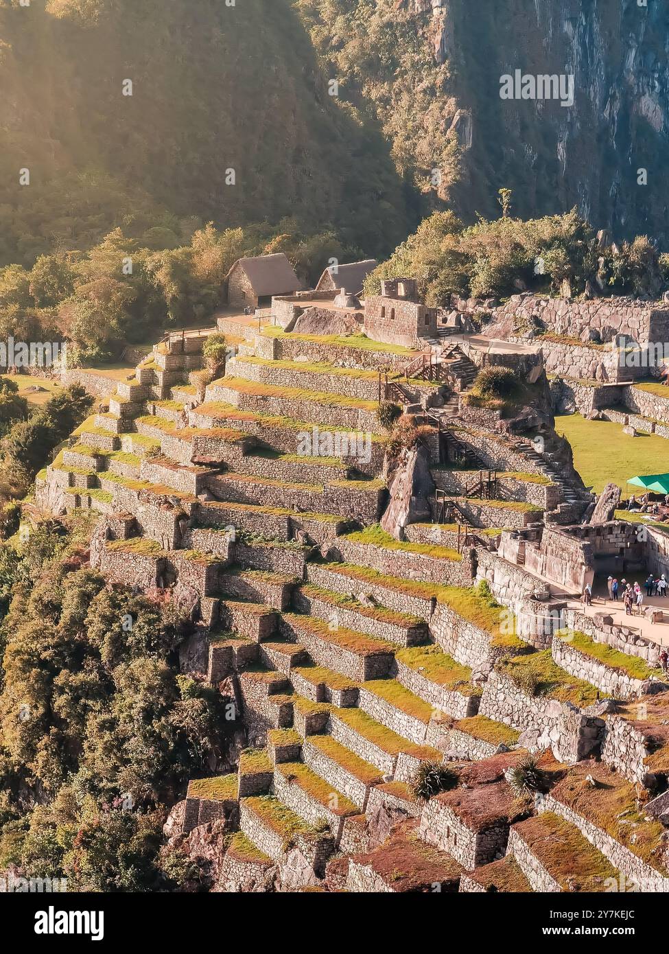 Aerial view of Machu Picchu's iconic terraced landscape and ancient ...