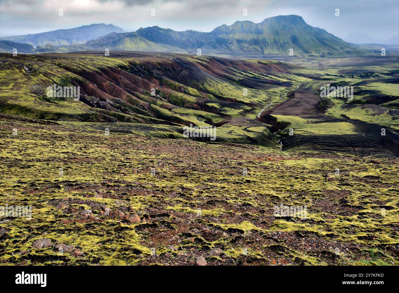 Moss & Igneous Rock, Landmannalaugar, Iceland Stock Photo - Alamy