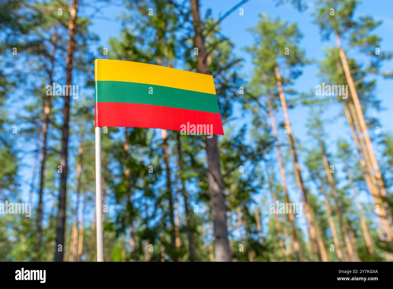 Lithuania Ecology concept. Nature. Lithuania's flag is isolated on the ...