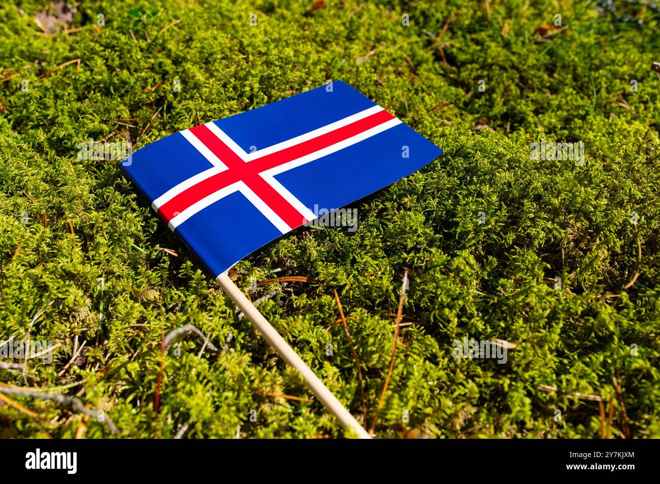 Ecological concept. On the sidewalk in green moss, paving slabs with ...
