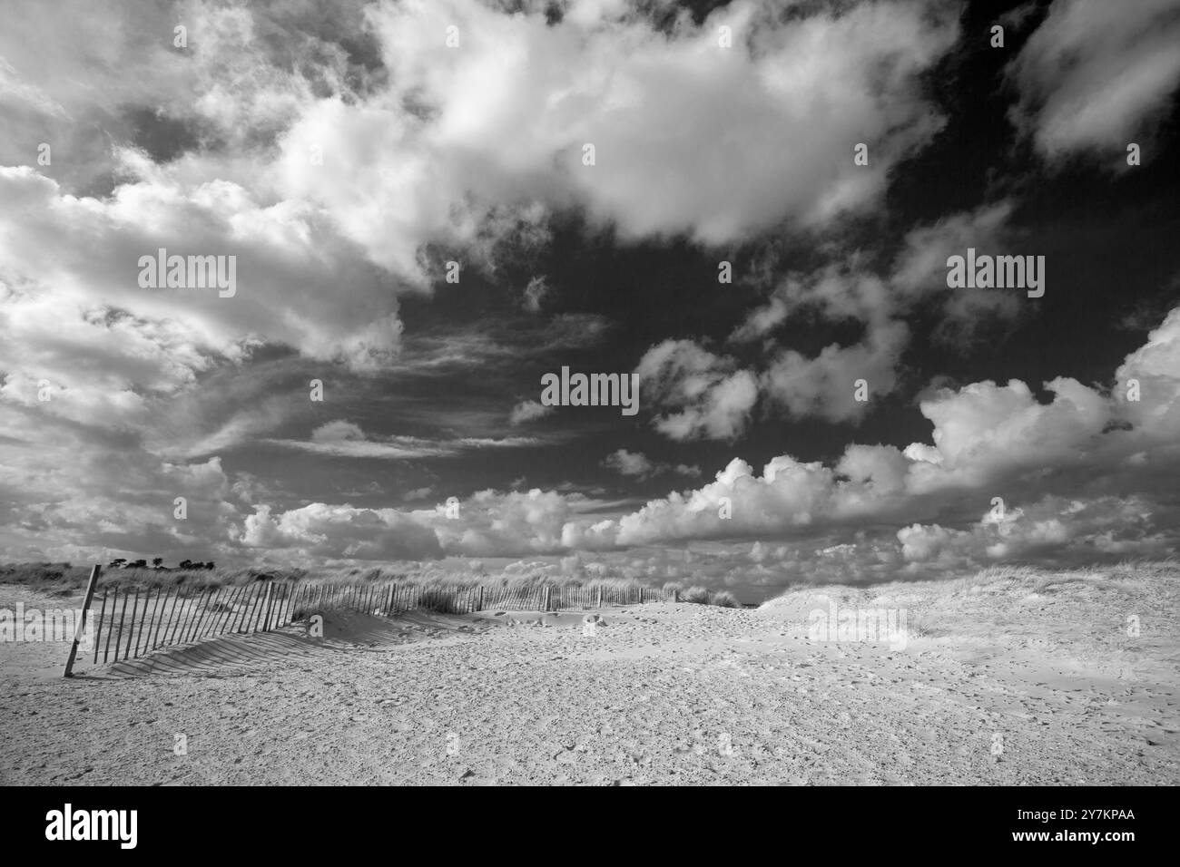 Black and white image of Walberswick beach, Suffolk, England, United ...