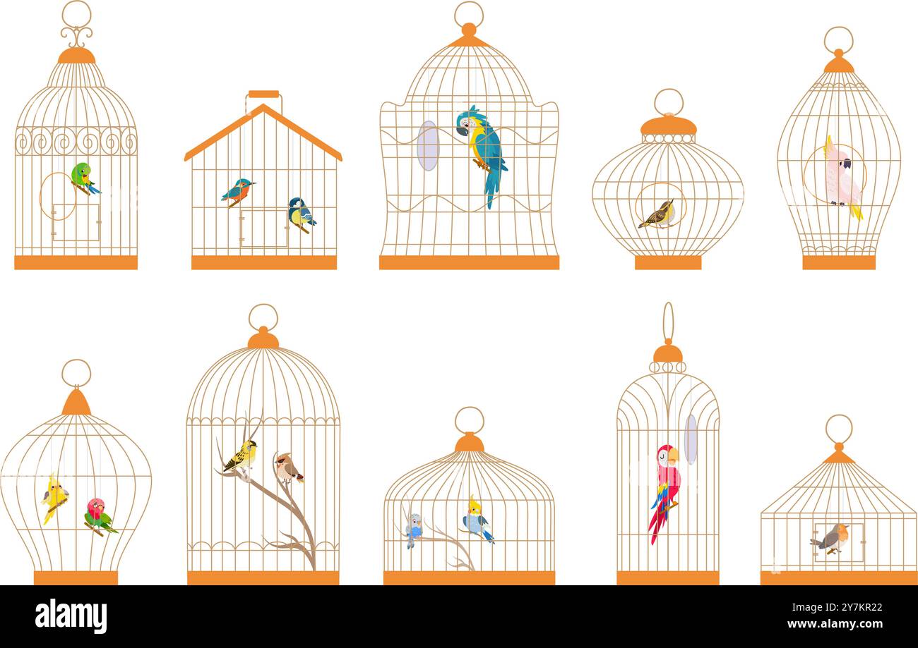 Cartoon birds in cages. Decorative bird and parrots in different cage. Canary bullfinch cockatoo ...