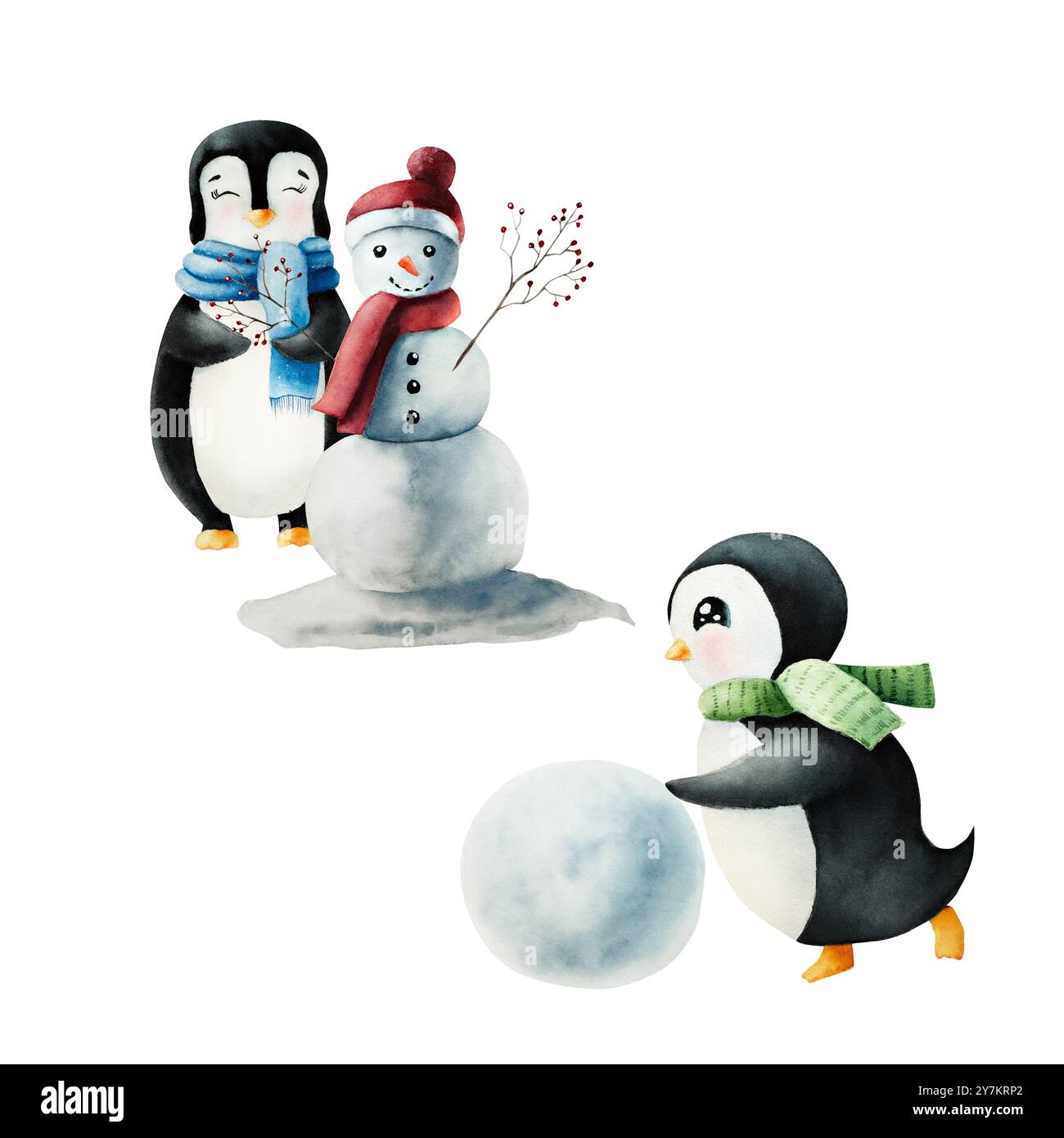 Cute smiling penguin wearing a green, blue scarf with Snowball for ...
