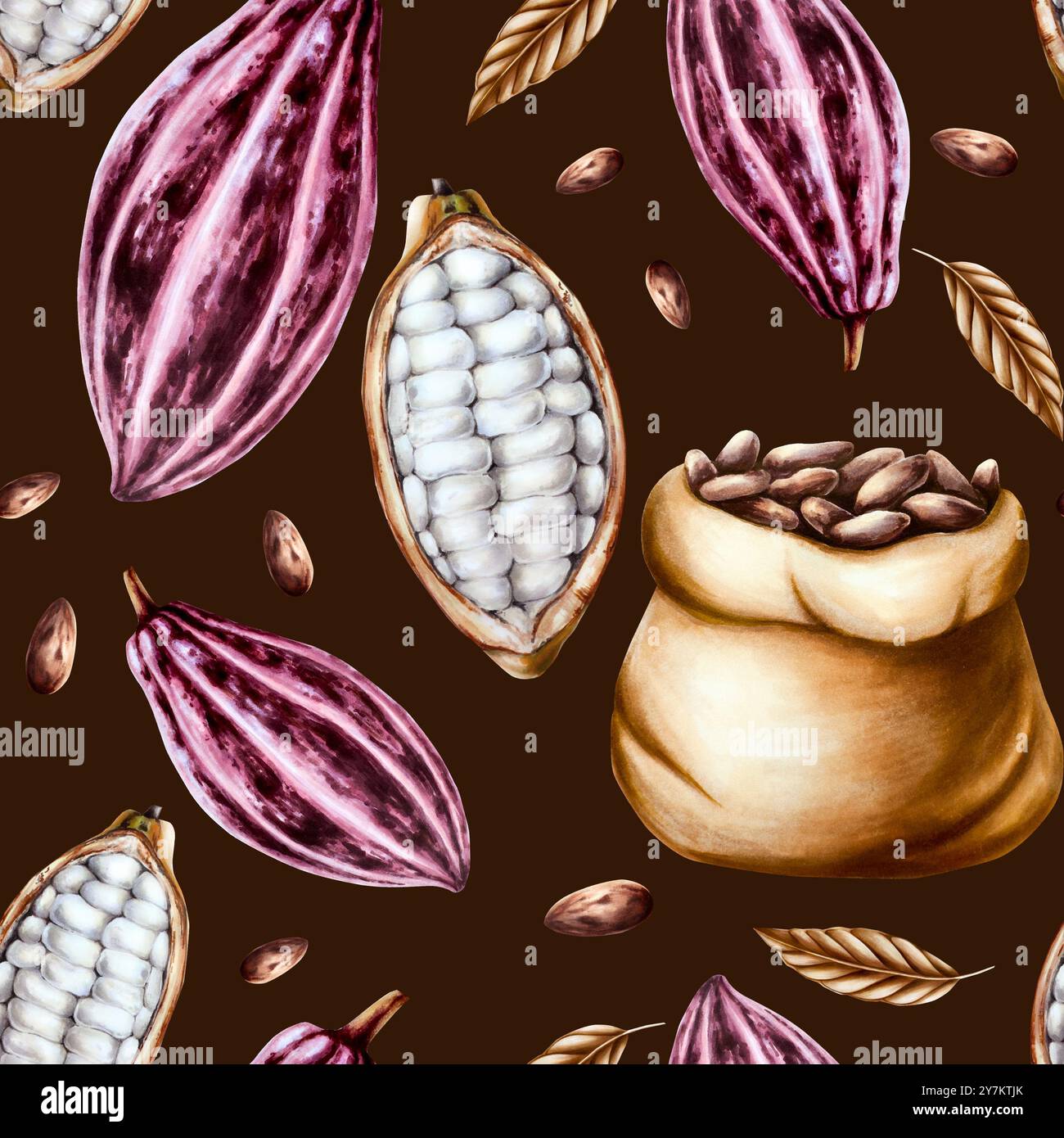Watercolor composition with open cocoa pod, fruit. Beans in a canvas ...