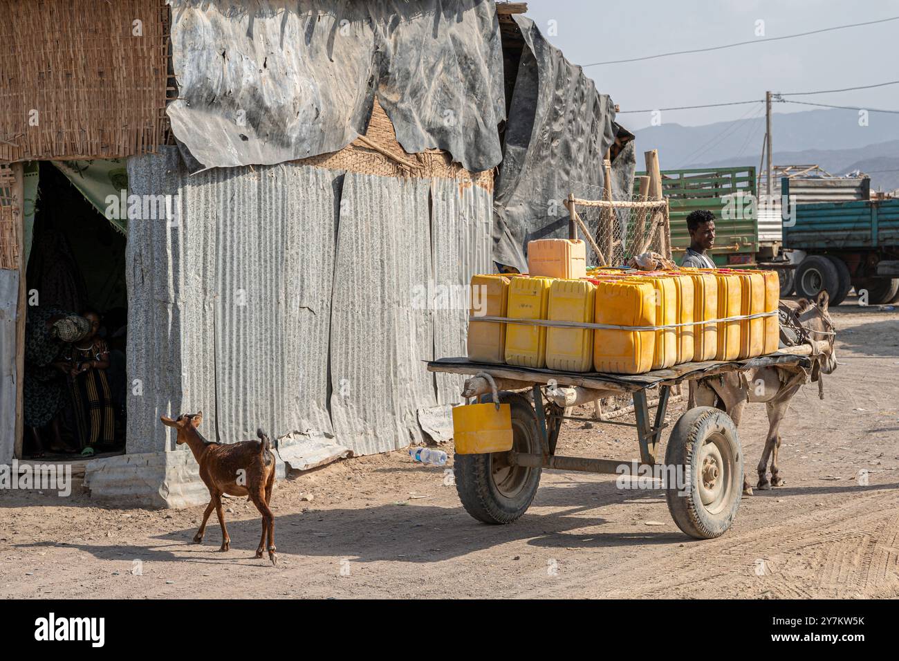 Afar tribe people in Berhale village, street scene, Ethiopia, Africa ...