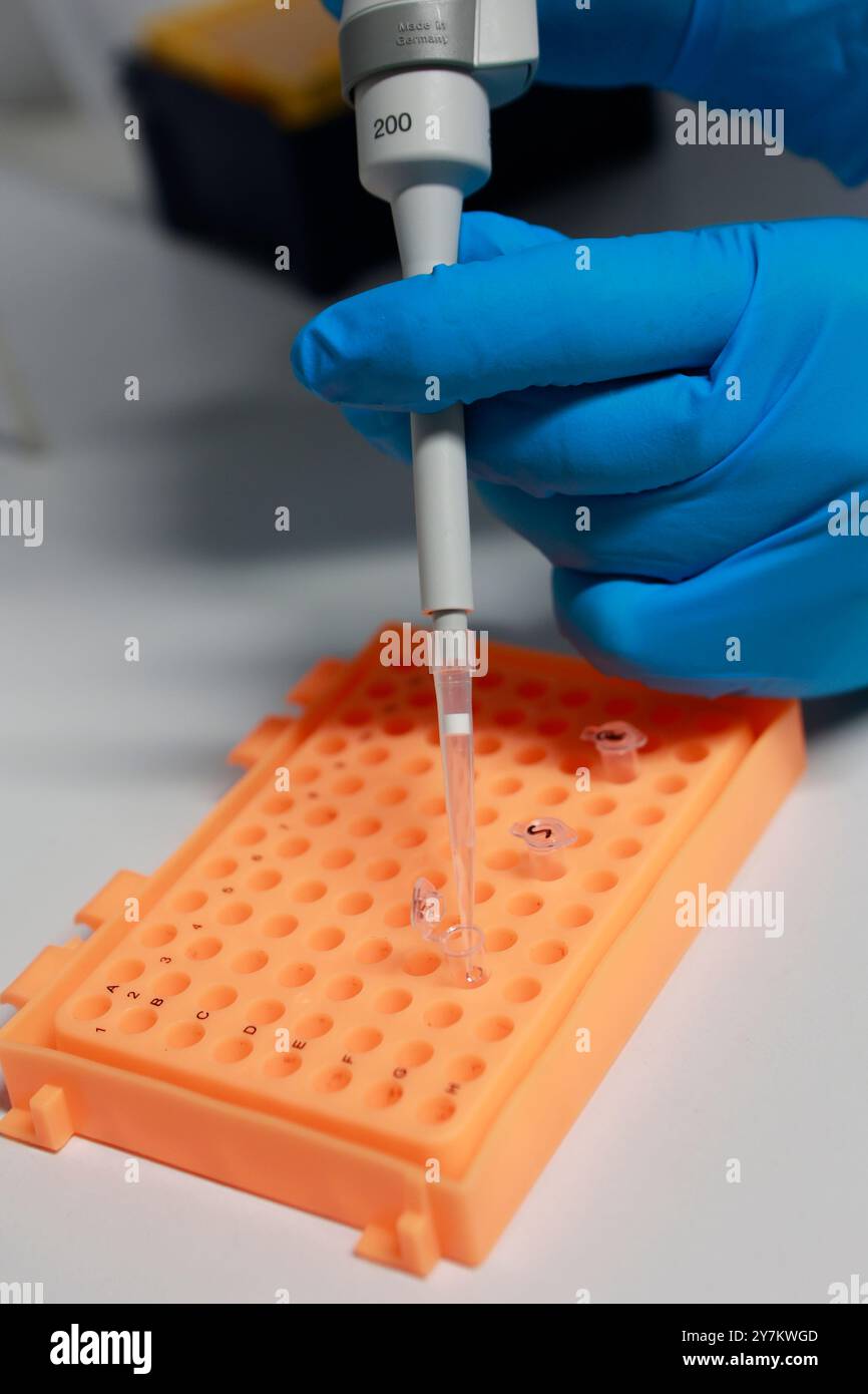 30 September 2024, Lower Saxony, Göttingen: Small test tubes are ...