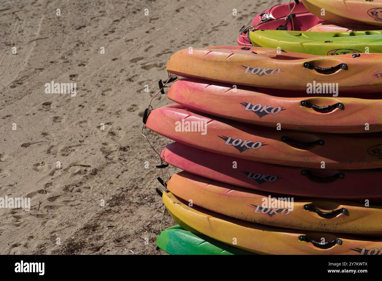 Vibrant Kayaks Resting on the Beach: A Splash of Color by the Shore ...