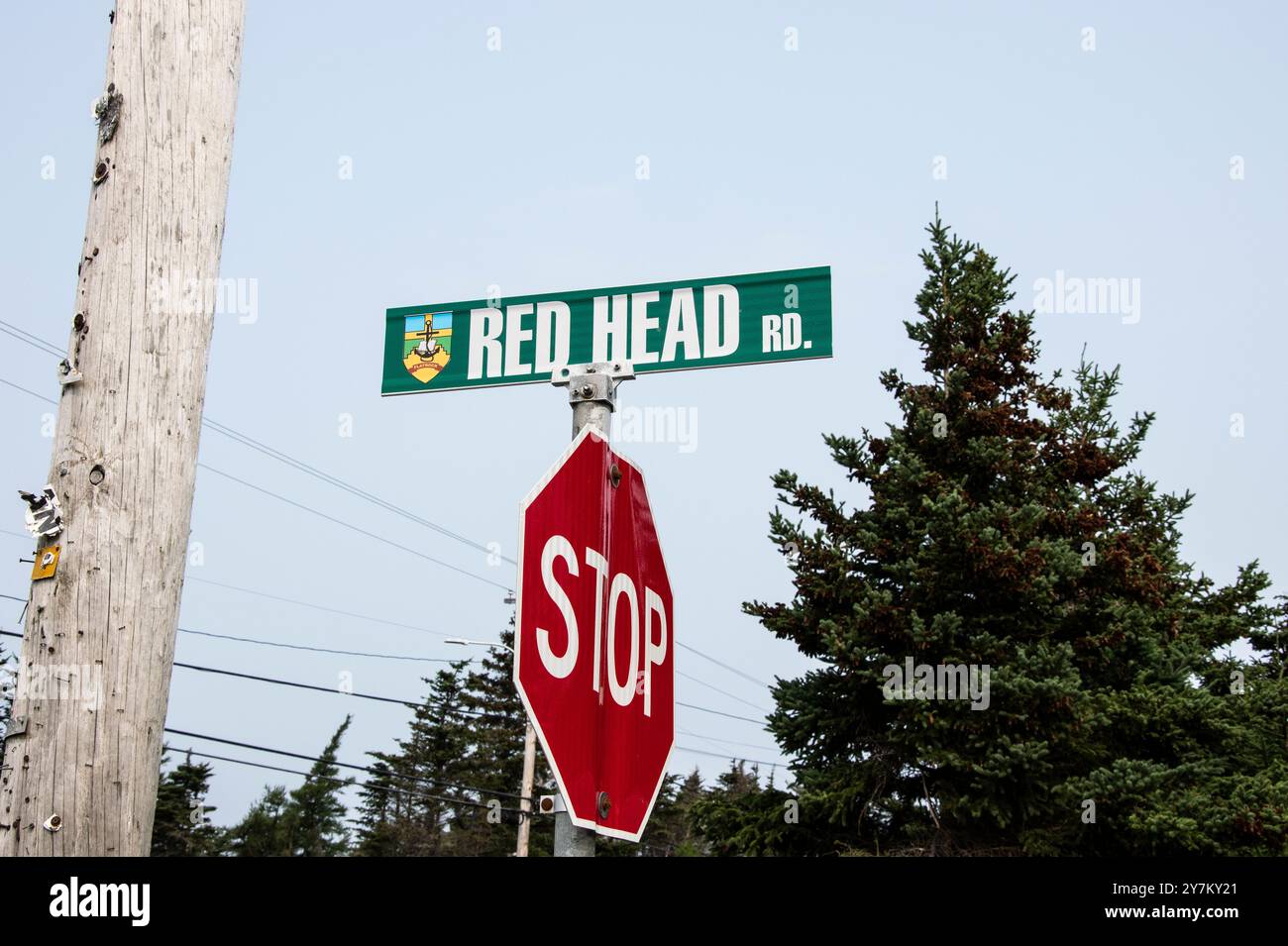 Stop signs hi-res stock photography and images - Alamy