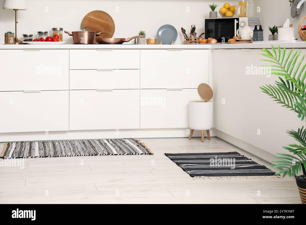 Interior of modern kitchen with stylish rug, trash bin and white ...