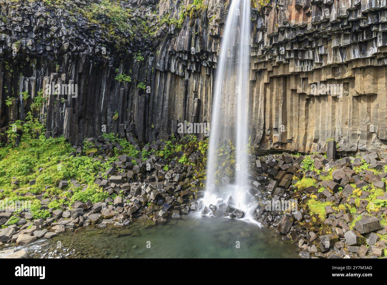 Waterfall, basalt columns, summer, Svartifoss, Skaftafell National Park ...