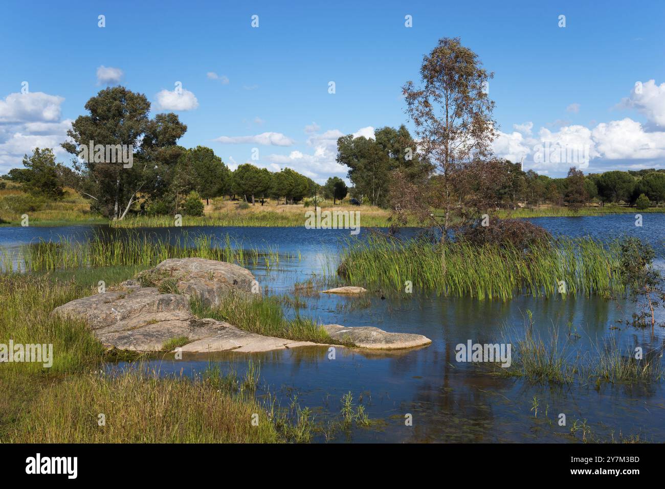 A peaceful lake with rocks, trees and calm water under a clear blue sky ...