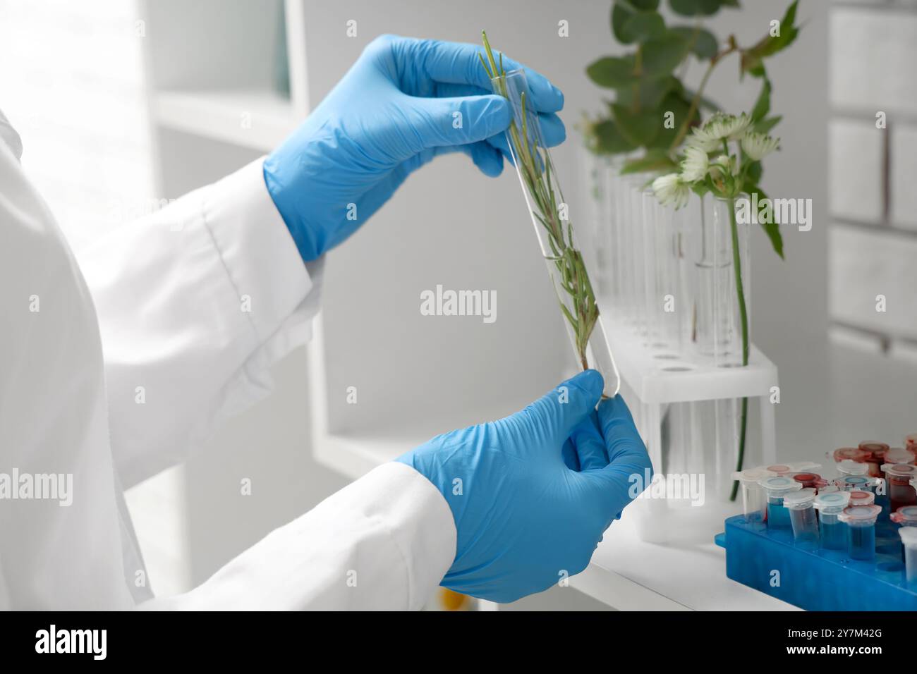Female scientist working with test tubes and plants samples in ...