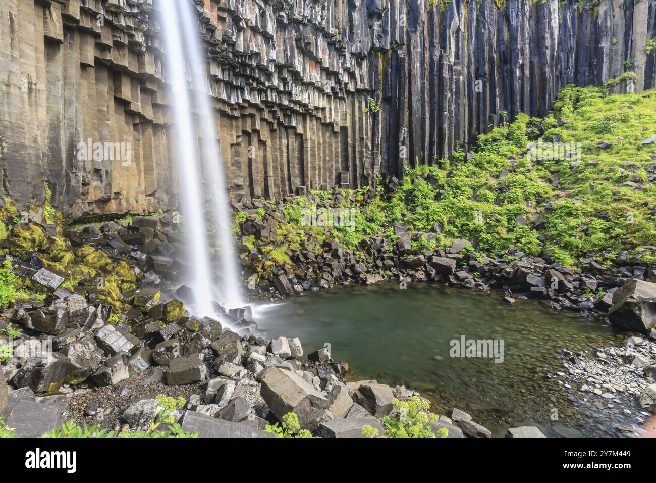 Waterfall, basalt columns, summer, Svartifoss, Skaftafell National Park ...