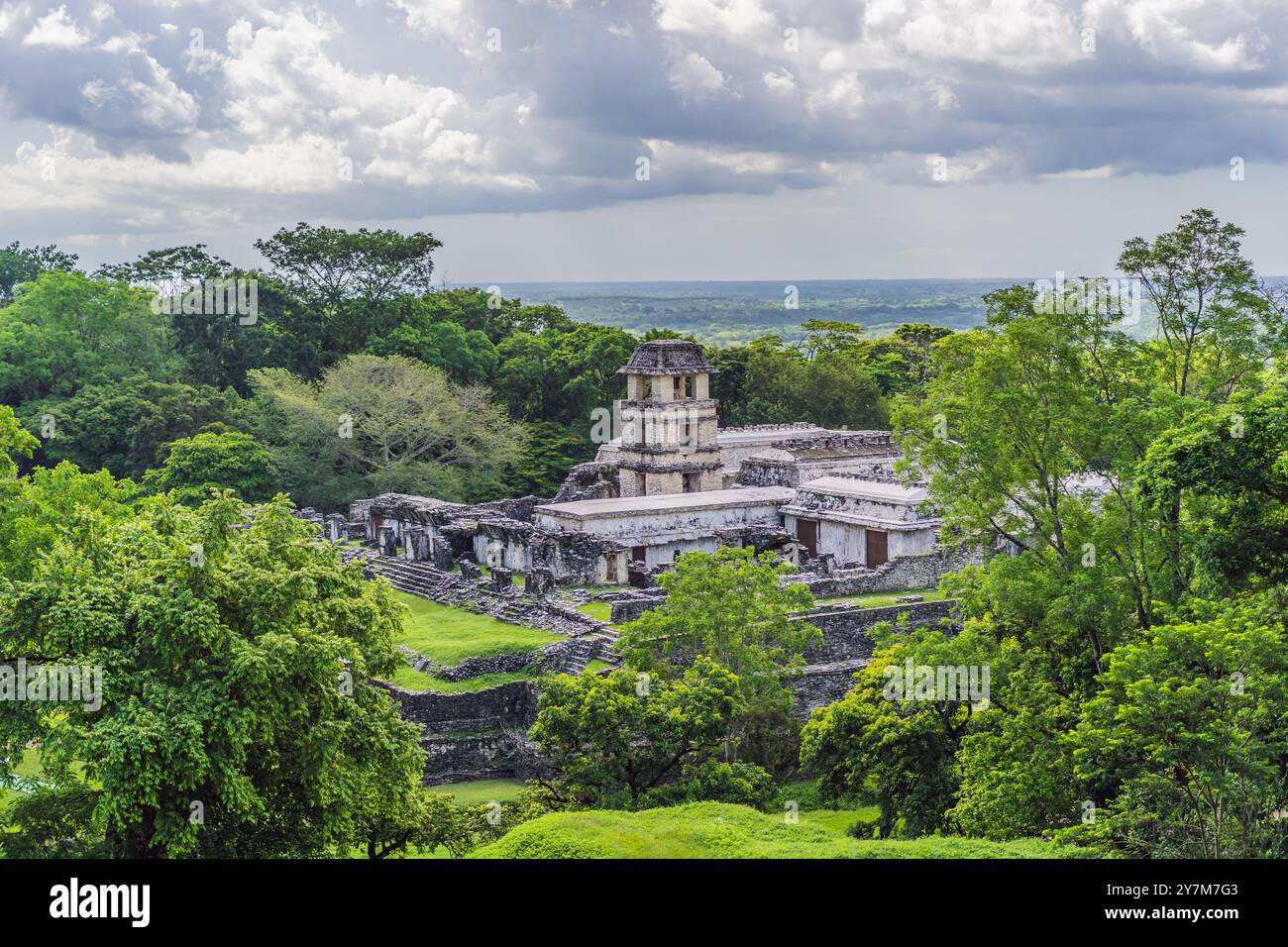 The ancient pyramids of Palenque in Mexico, surrounded by lush jungle ...