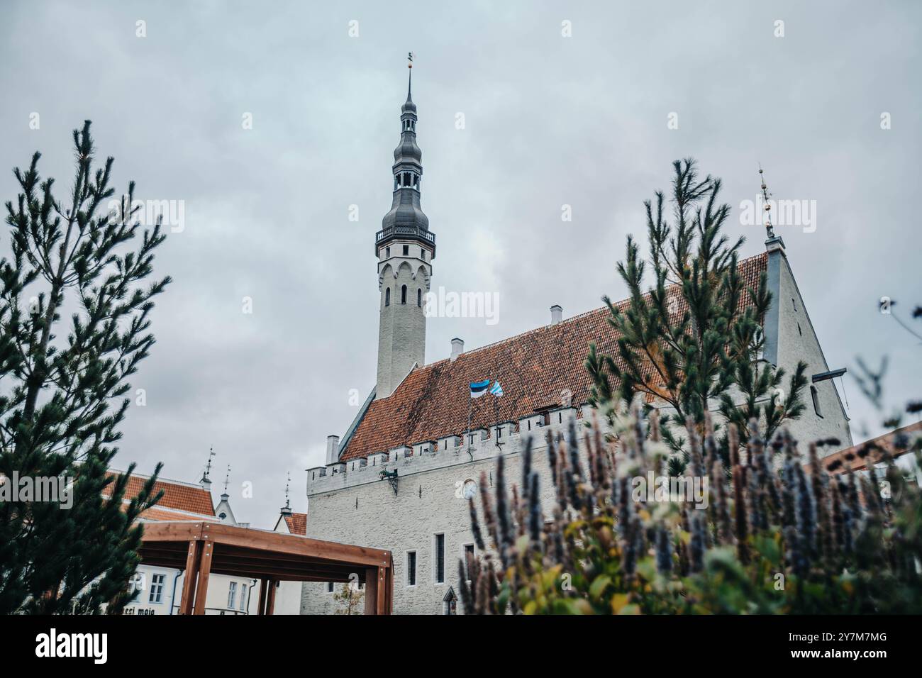 Estonian flag on city hall in Tallinn, Estonia Stock Photo - Alamy
