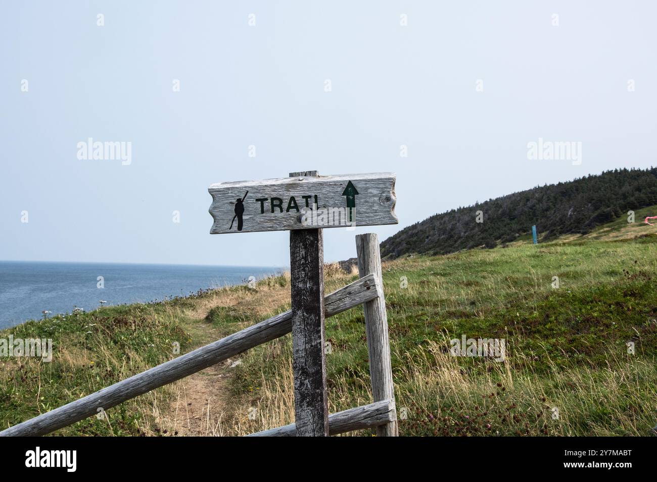 Pointing wooden signs hi-res stock photography and images - Alamy