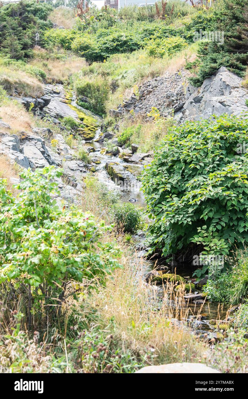 Creek in Pouch Cove, Newfoundland & Labrador, Canada Stock Photo - Alamy