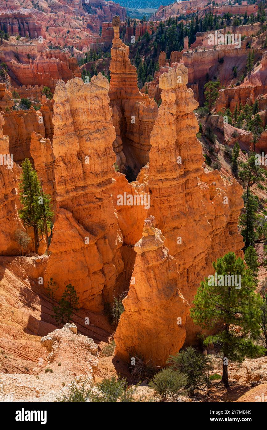 Bryce Canyon National Park, Utah Stock Photo - Alamy