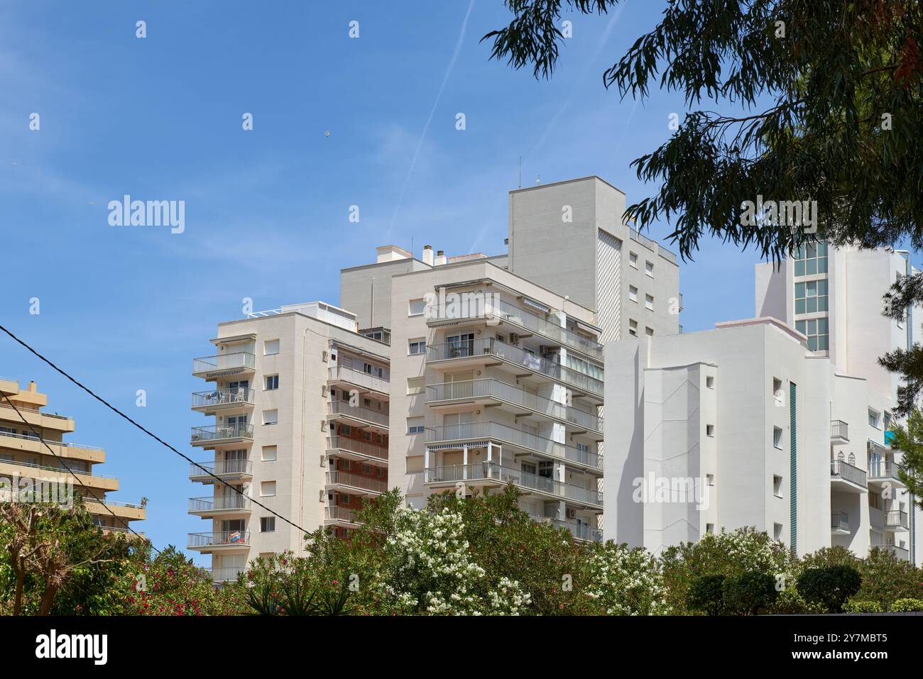 Spectacular Spanish Skyline: Towering High-Rises and Swaying Palm Trees ...