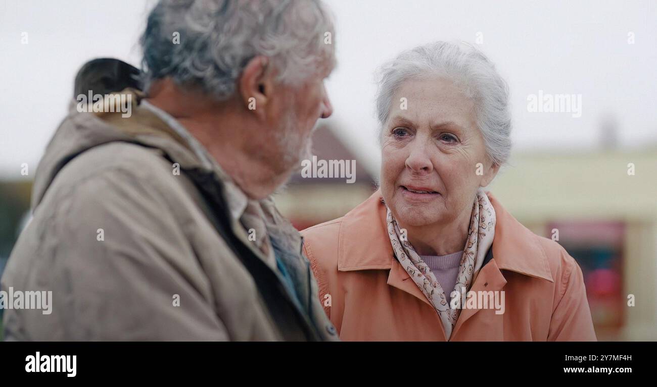 THE UNLIKELY PILGRIMAGE OF HAROLD FRY, from left: Jim Broadbent ...