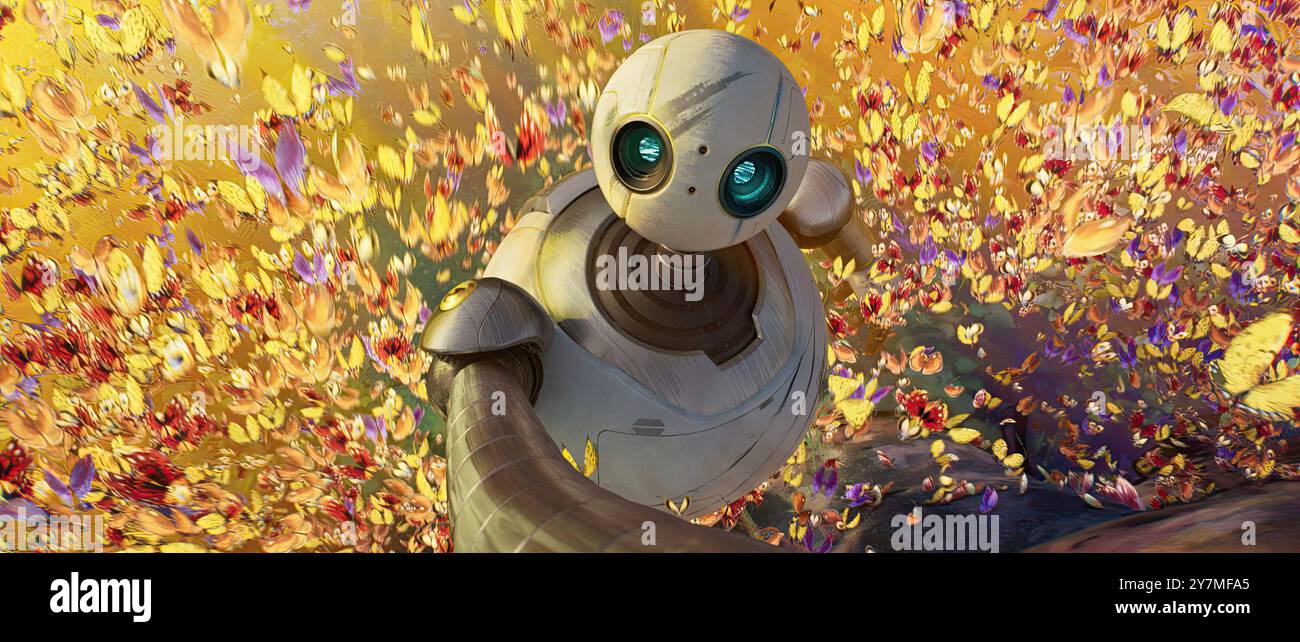 THE WILD ROBOT, Roz (voice: Lupita Nyong'o), 2024. © DreamWorks ...