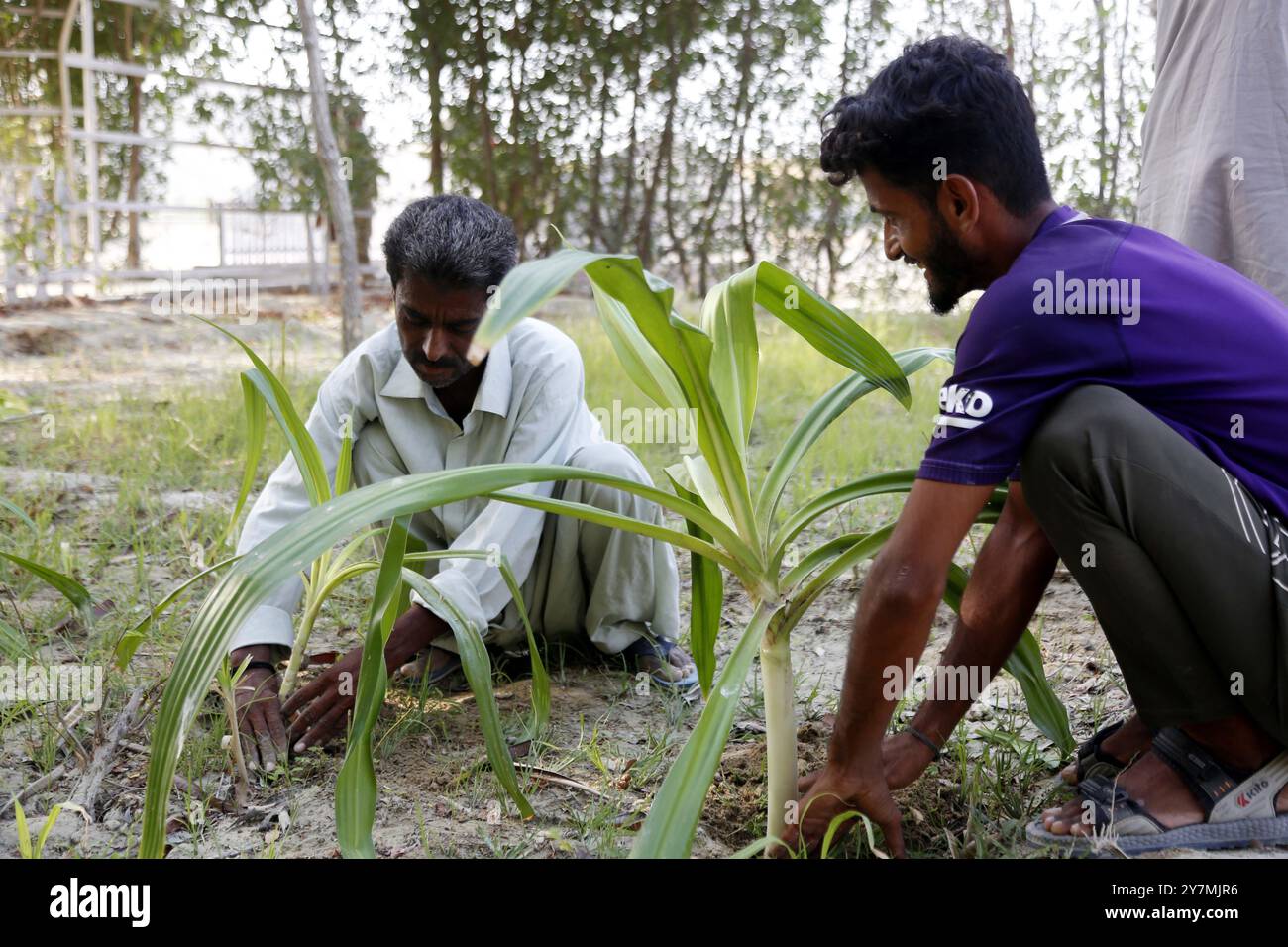 Gwadar, Pakistan. 30th Sep, 2024. Gardeners take care of plants in the ...