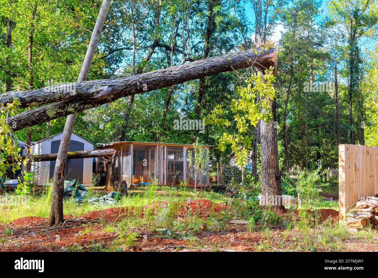 Damage to fences around residence caused by trees that fell during ...