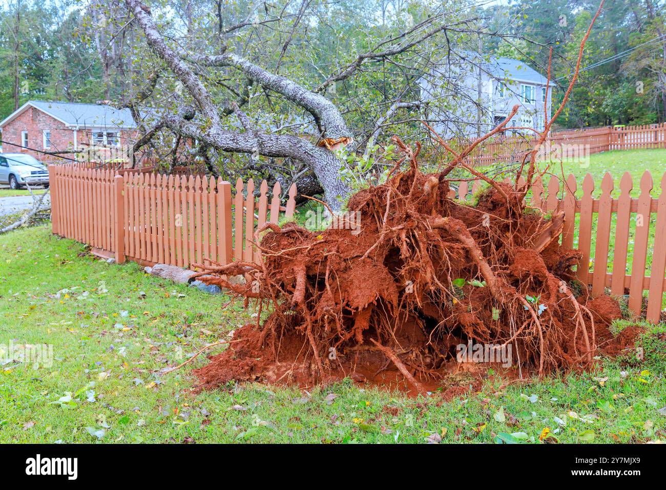 Hurricane caused trees to fall on fences around house Stock Photo - Alamy