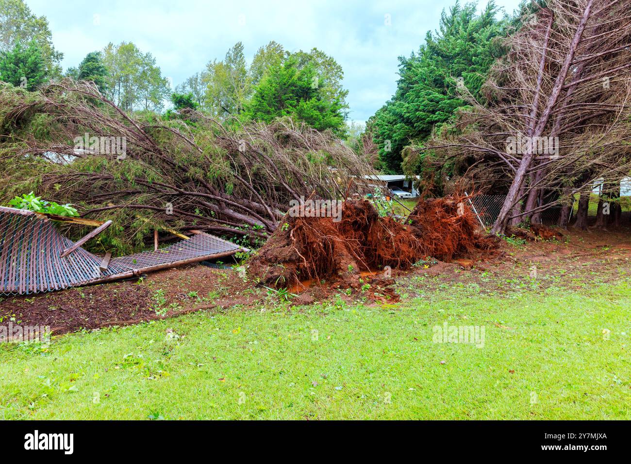 Fences around house were damaged by falling trees during hurricane ...