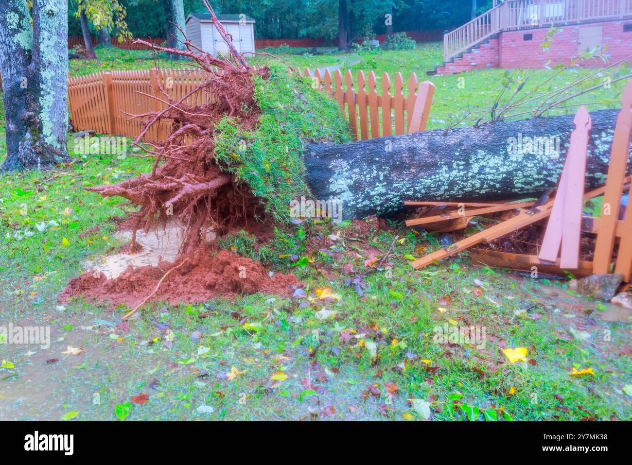 Tornado hurricane damaged fences around house after trees fell during ...