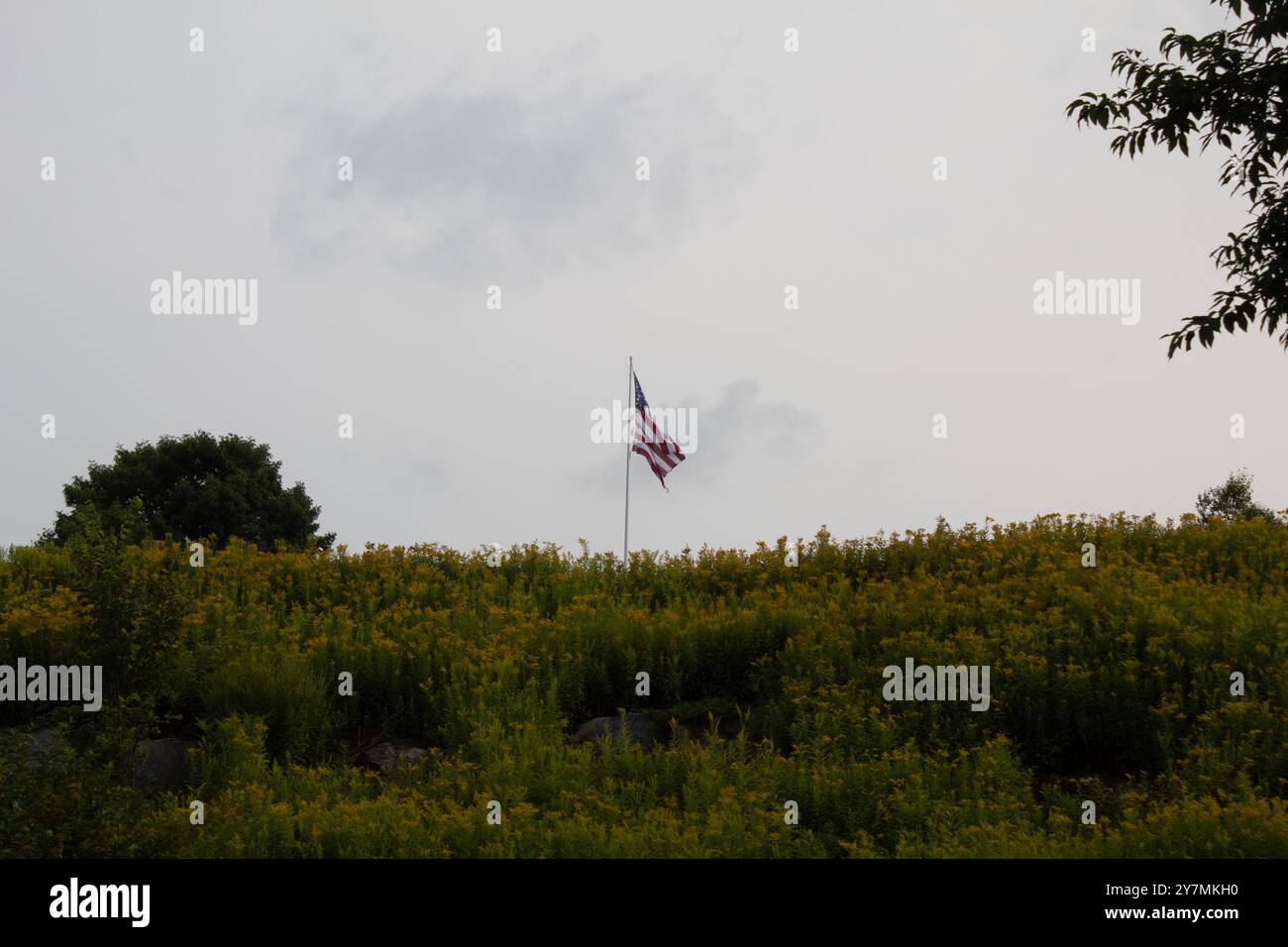 American Flag at Fort Williams Park, Portland, Maine Stock Photo - Alamy