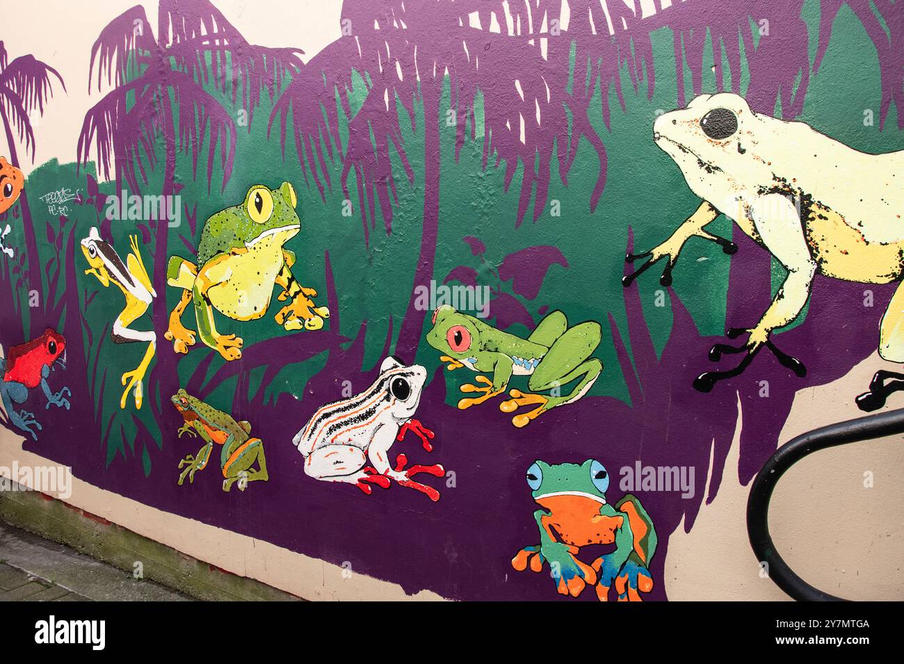 Frogs mural in downtown St. John's, Newfoundland & Labrador, Canada ...