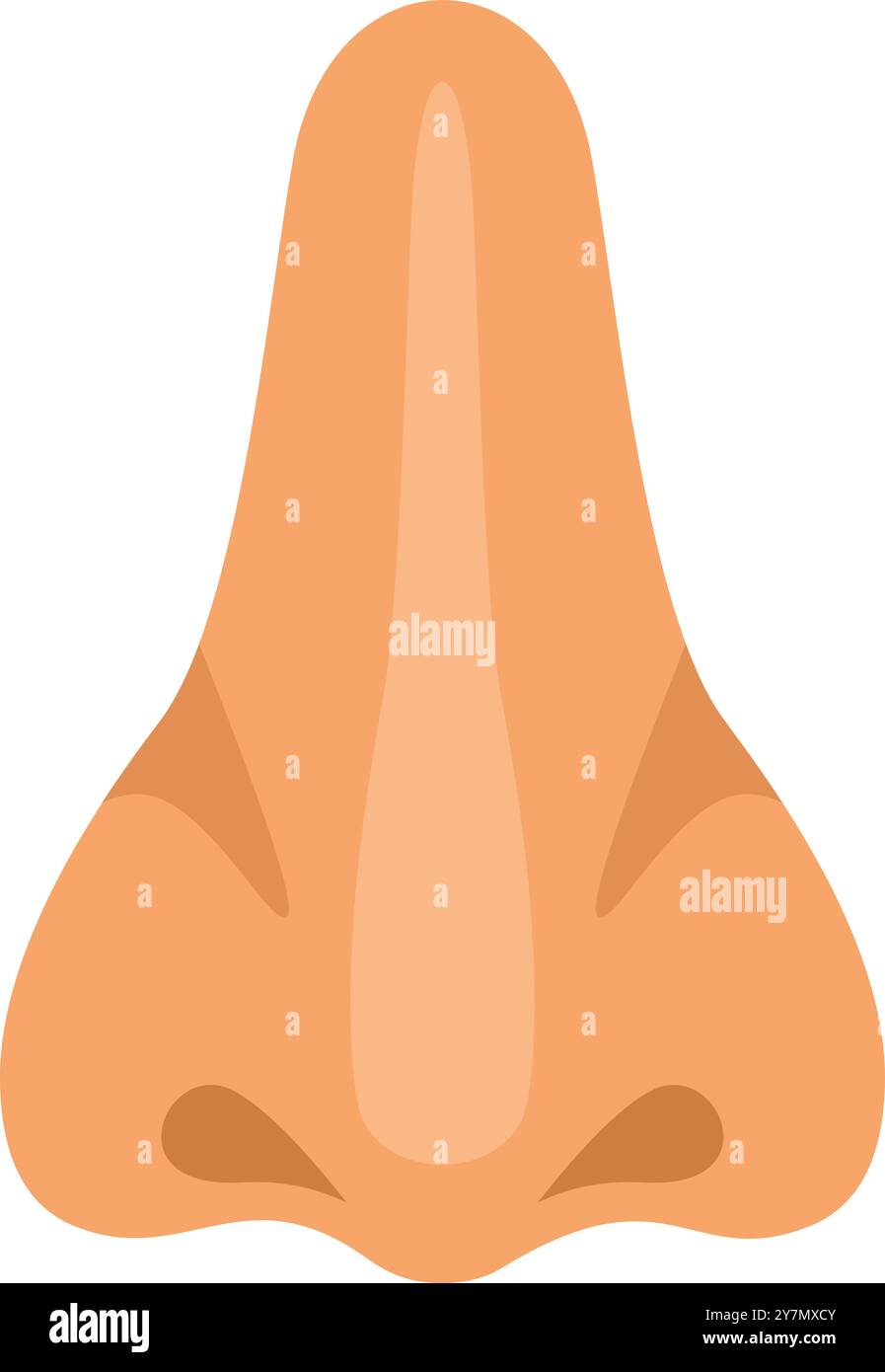 Human nose is smelling something good, isolated on white background ...