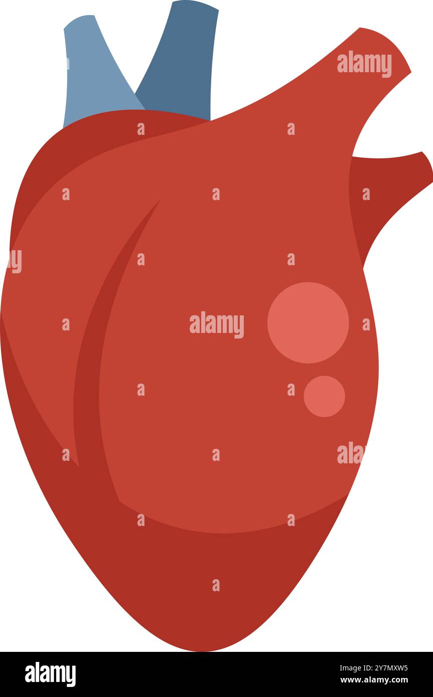 Anatomical illustration of a human heart, essential organ responsible ...