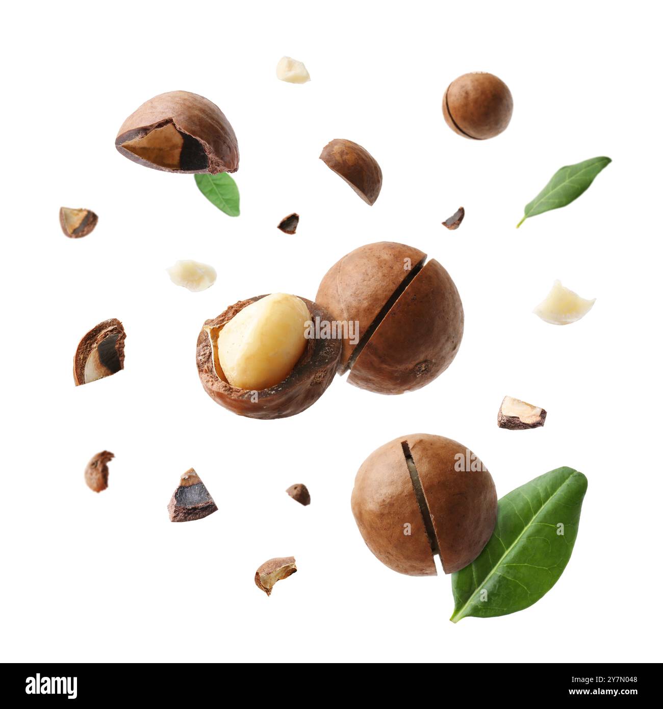Macadamia nuts and crushed shells in air on white background Stock ...