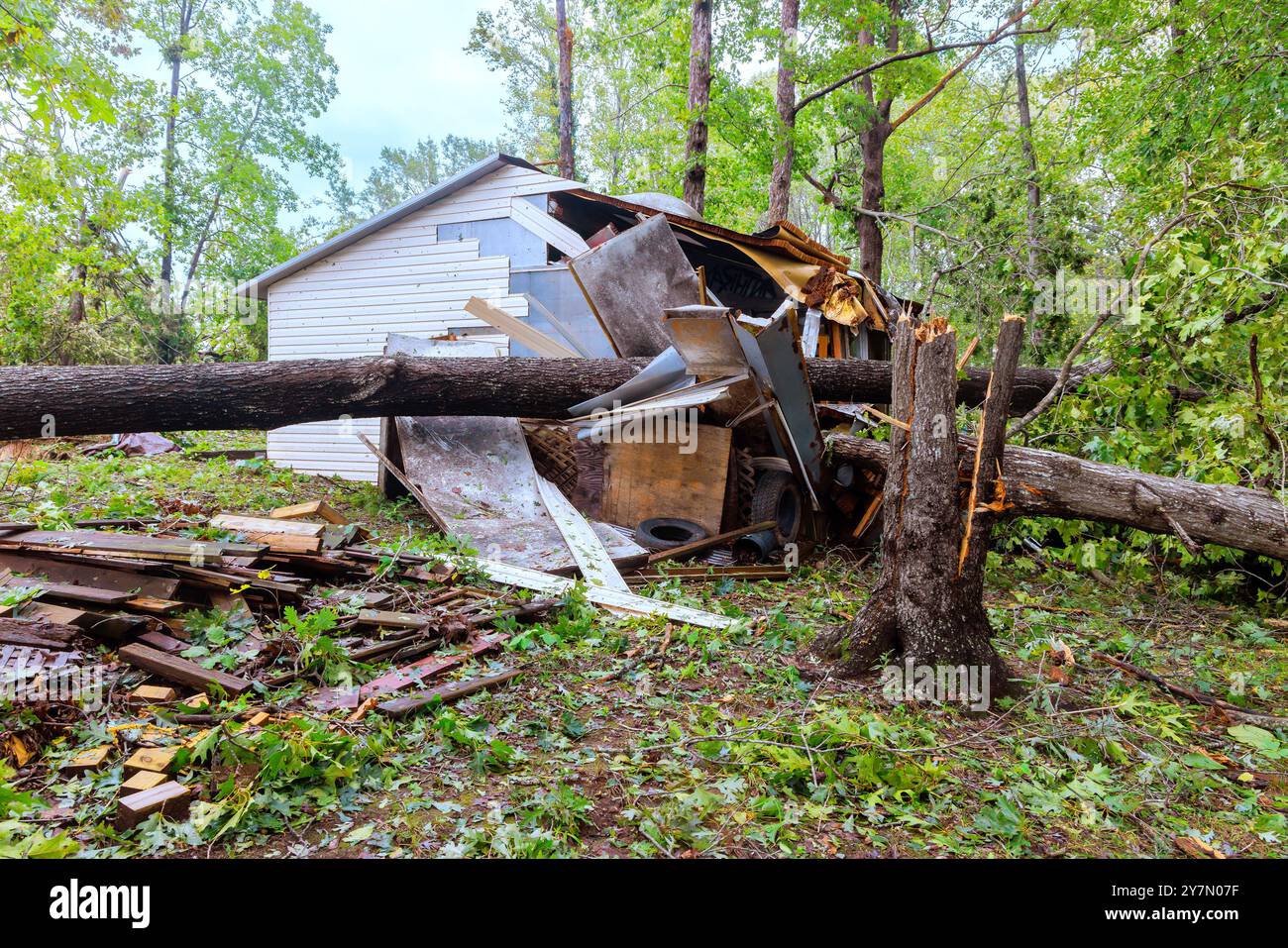 Storm hurricane uprooted trees that fell on shed due to strong winds ...